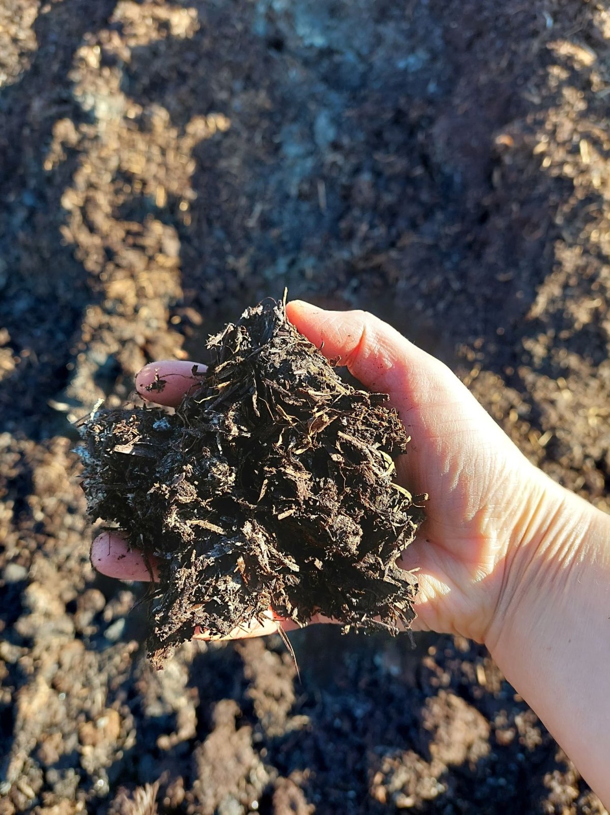 Champignonmuld ØKO - Muld - grusogflis.dk