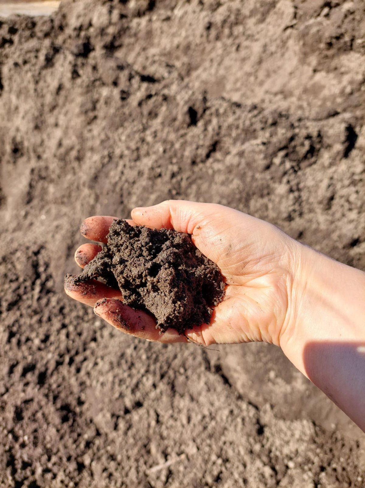 Harpet muldjord - finsorteret - Muld - grusogflis.dk